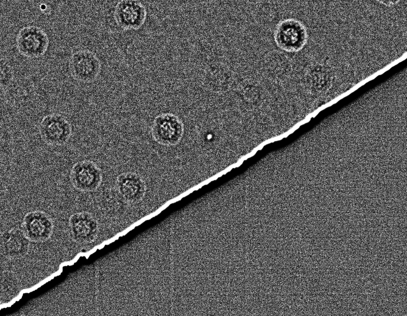 Venus hinter der Sonne 2026-01